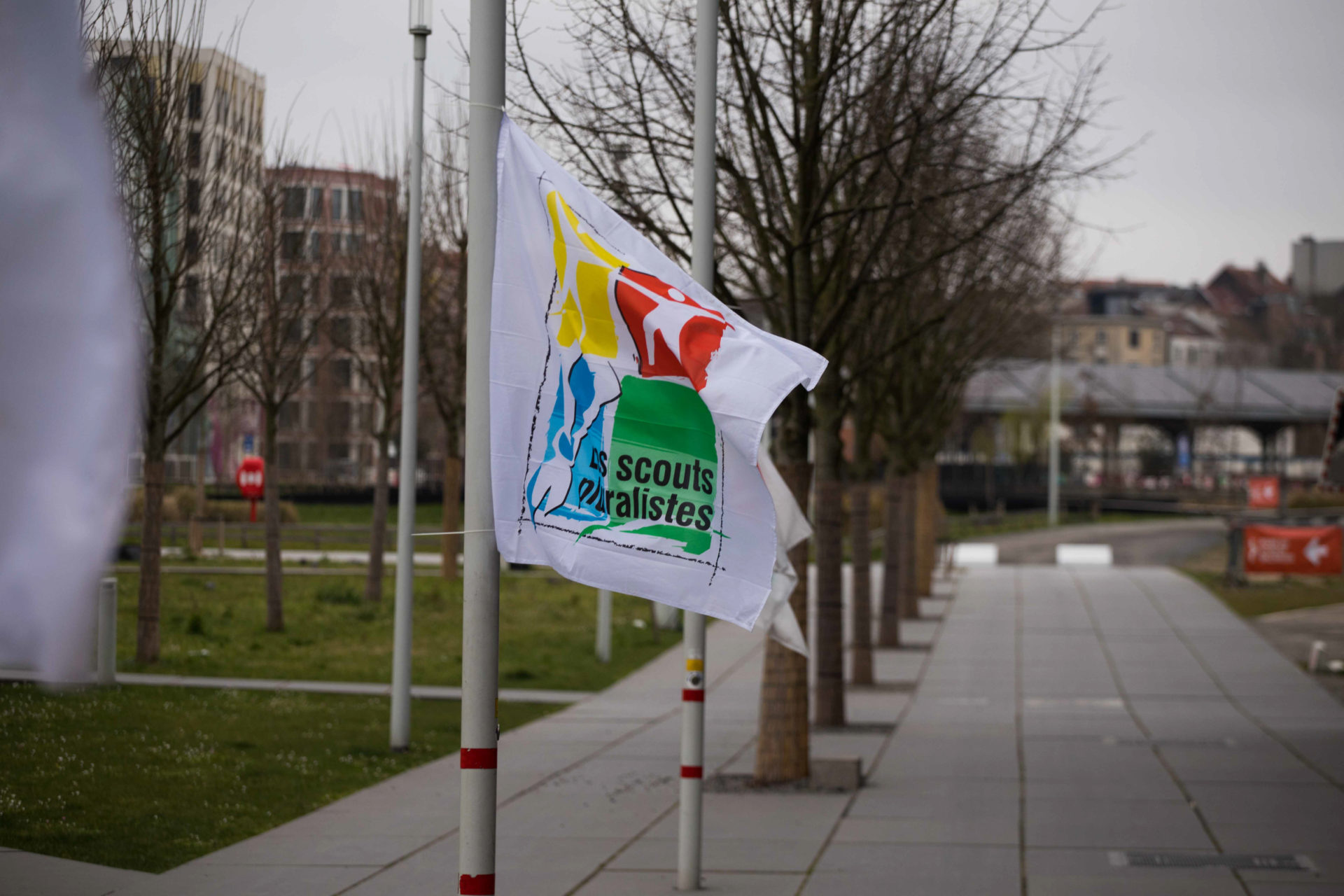Logos & charte graphique - Scouts et Guides Pluralistes de Belgique asbl